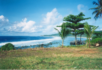 The ace of Anabare Bay : Air Facts Journal