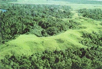 The folks down the back : Air Facts Journal