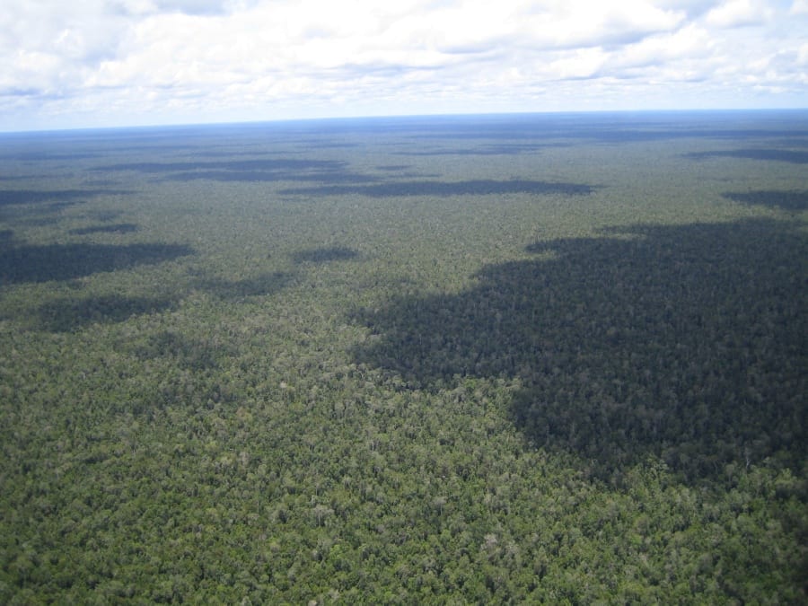 Helicopter flying in the jungle - lessons learned : Air Facts Journal