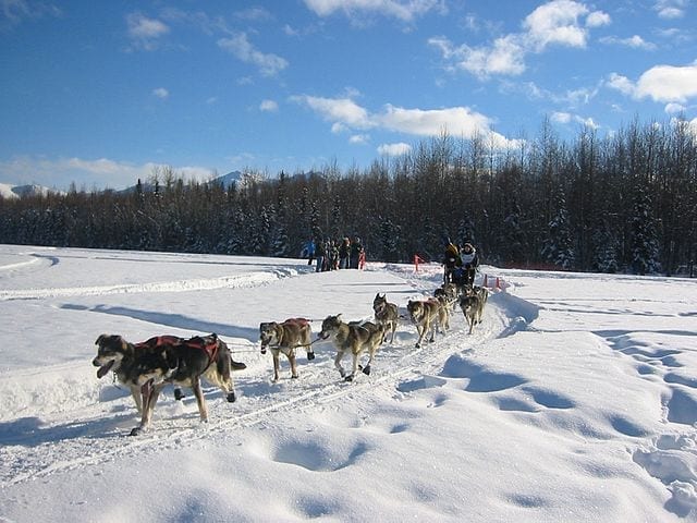 Flying in the Iditarod Air Force : Air Facts Journal