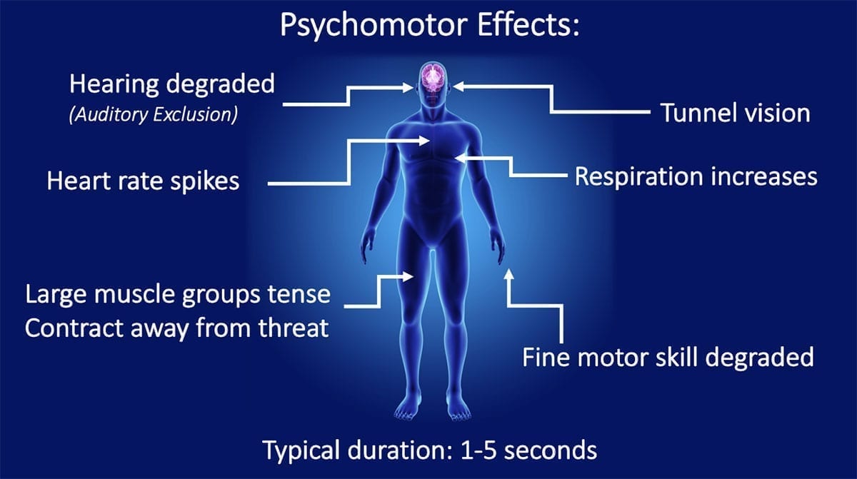 Startle: what it is and how it affects your performance : Air Facts Journal